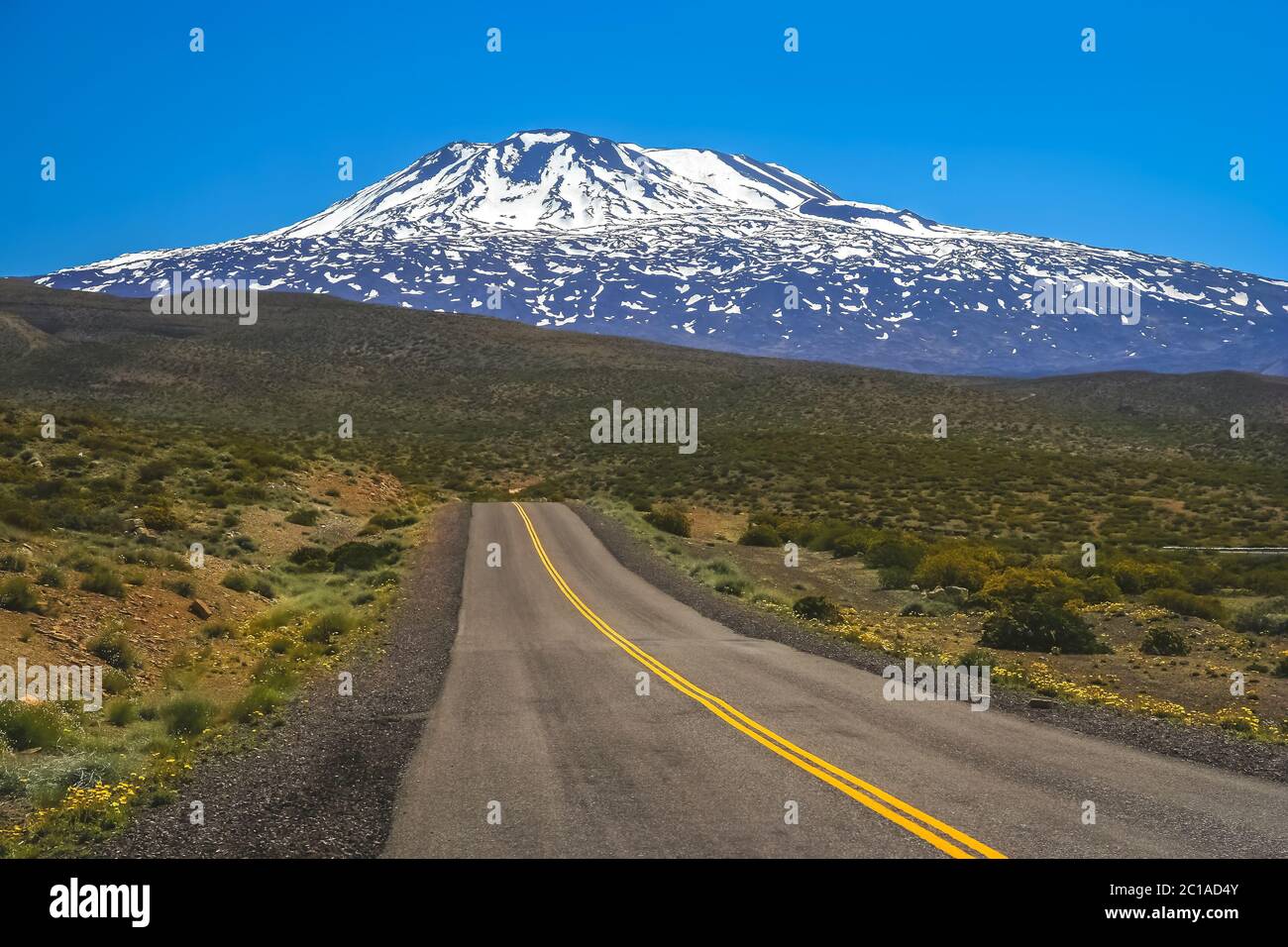 Ruta Quarenta road through Argentina Stock Photo - Alamy