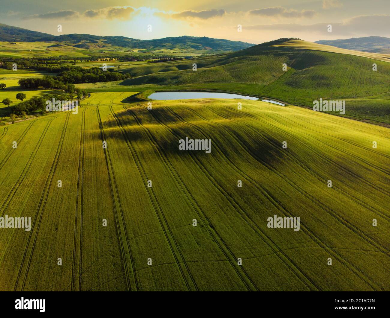Impressive spring landscape,view with cypresses and vineyards ,Tuscany ...