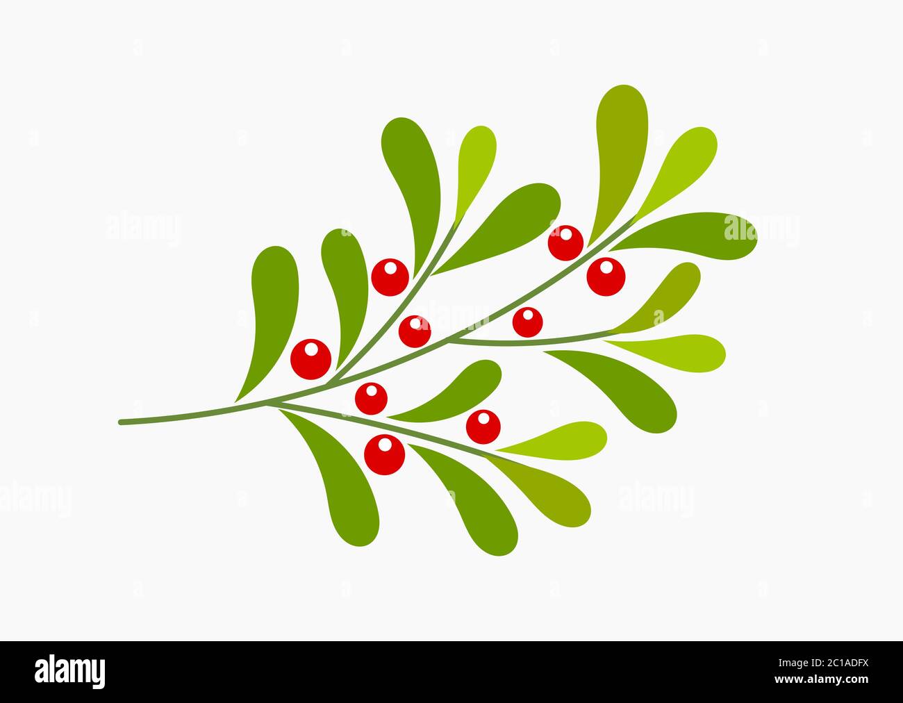 Mistletoe branch with red berries, Christmas plant symbol. Vector ...