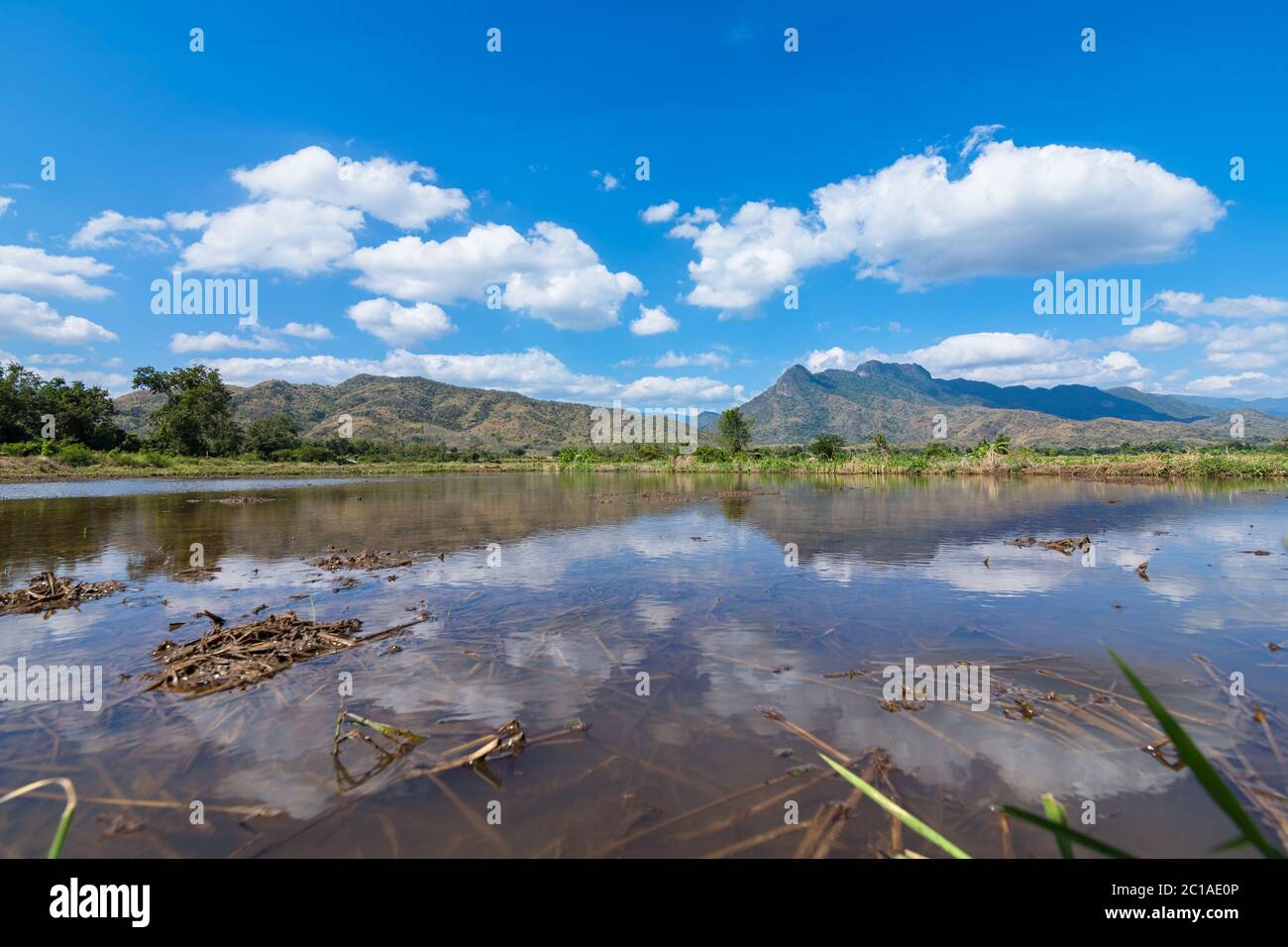 landscape scene midday and beautiful blue sky with cloud over a rice ...