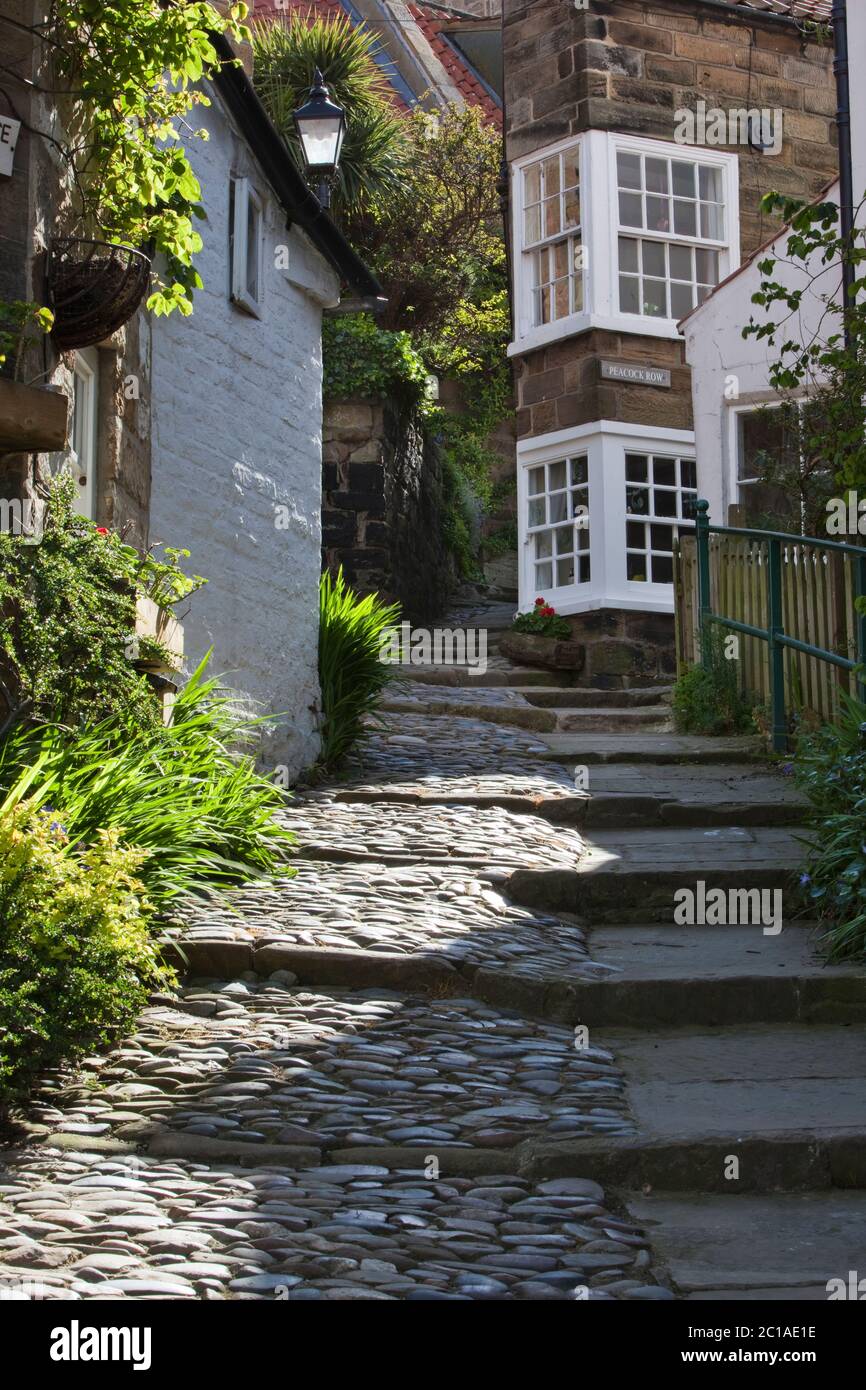 Cobbled alley in village at start of the coast to coast walk, Robin ...