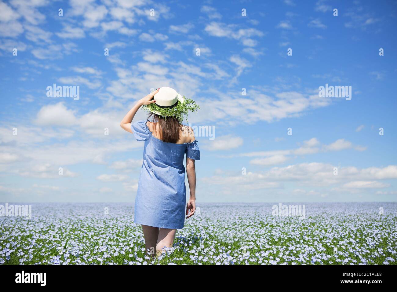 Linen field hi-res stock photography and images - Alamy