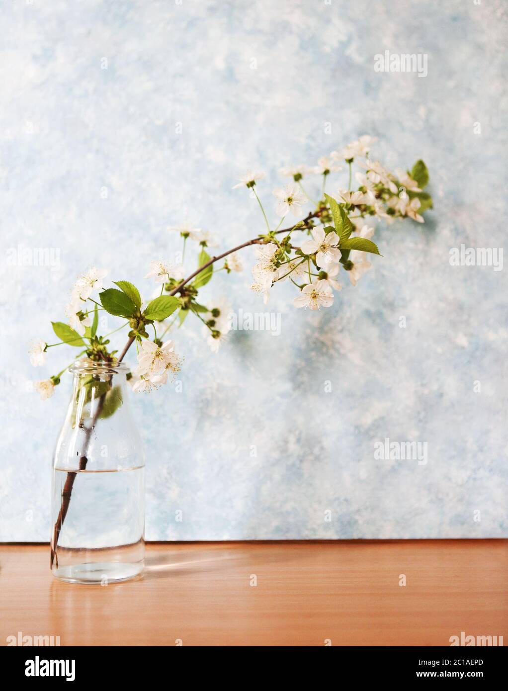 Beautiful spring flowers design background Stock Photo - Alamy