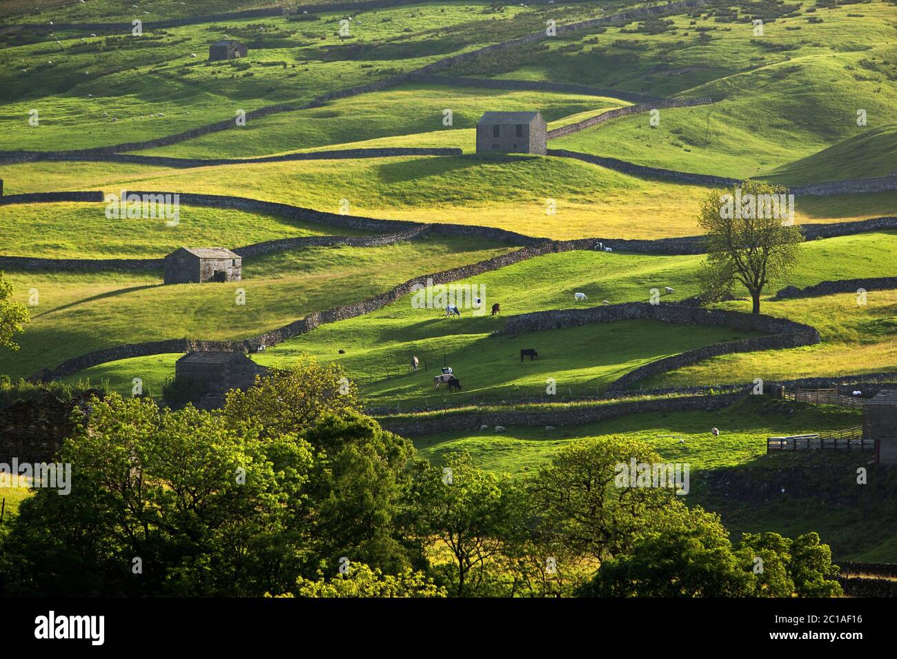 Barn Yorkshire Dales High Resolution Stock Photography and Images - Alamy
