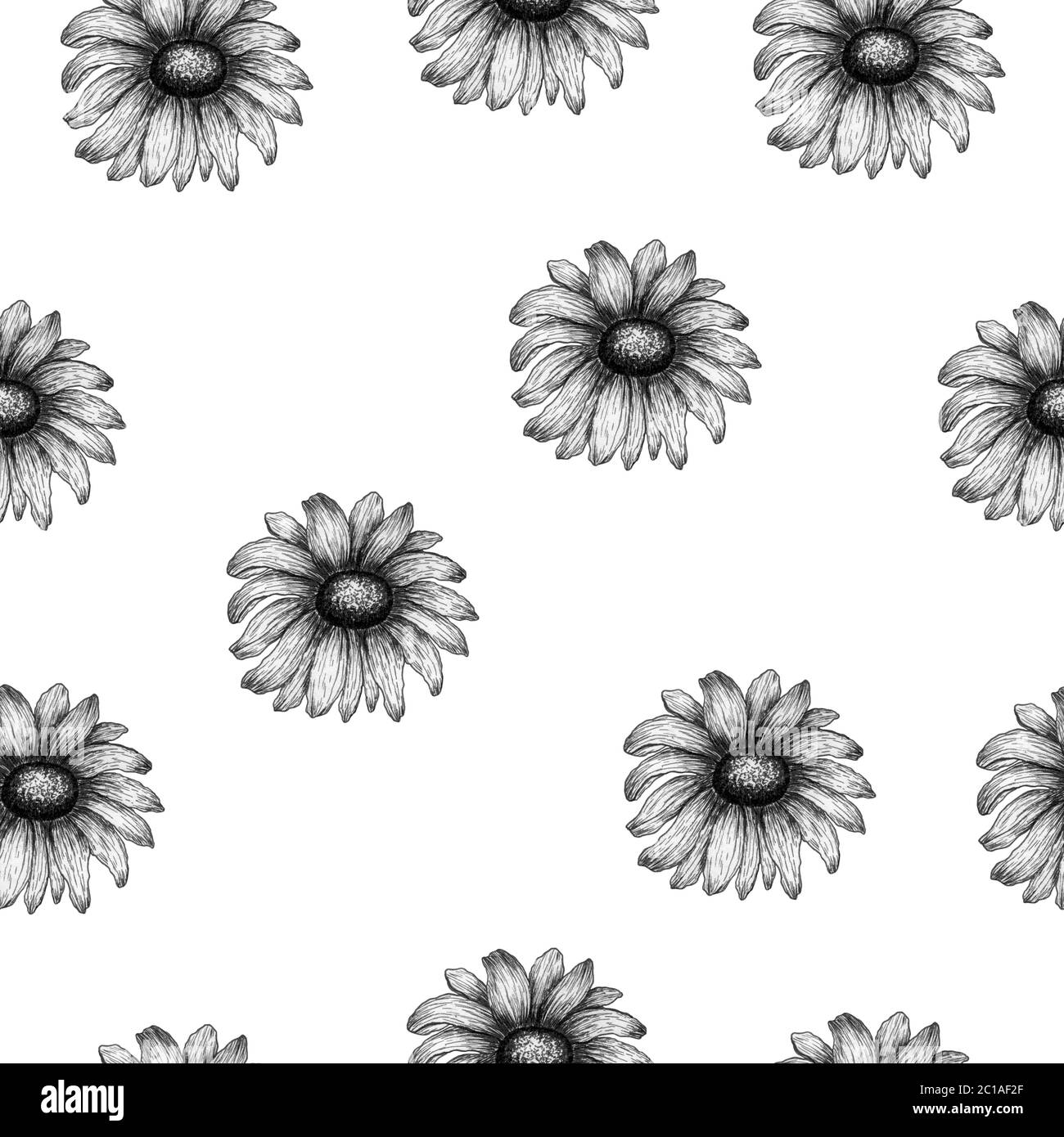 black and white daisy flower seamless pattern, vintage wildflowers ...