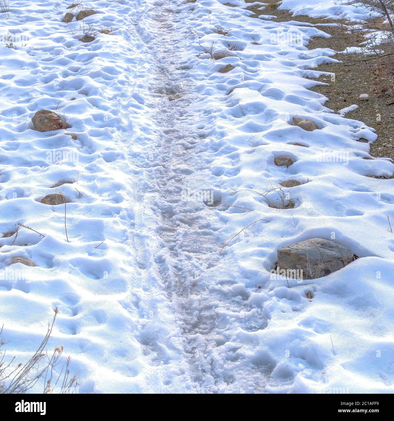 Square frame Trail on the snow covered terrain of a mountain in Provo ...
