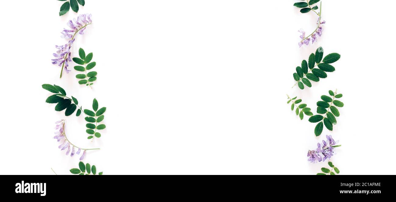 Beautiful twigs of plants stand on the edges Stock Photo - Alamy