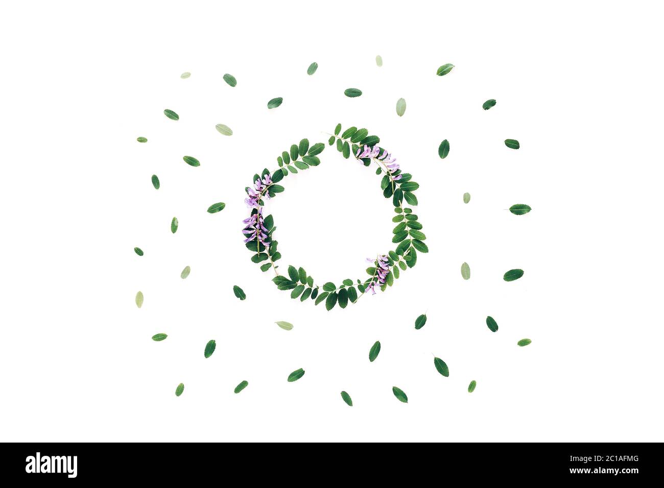 Beautiful wreath of fresh branches, a beautiful frame of branches in a ...