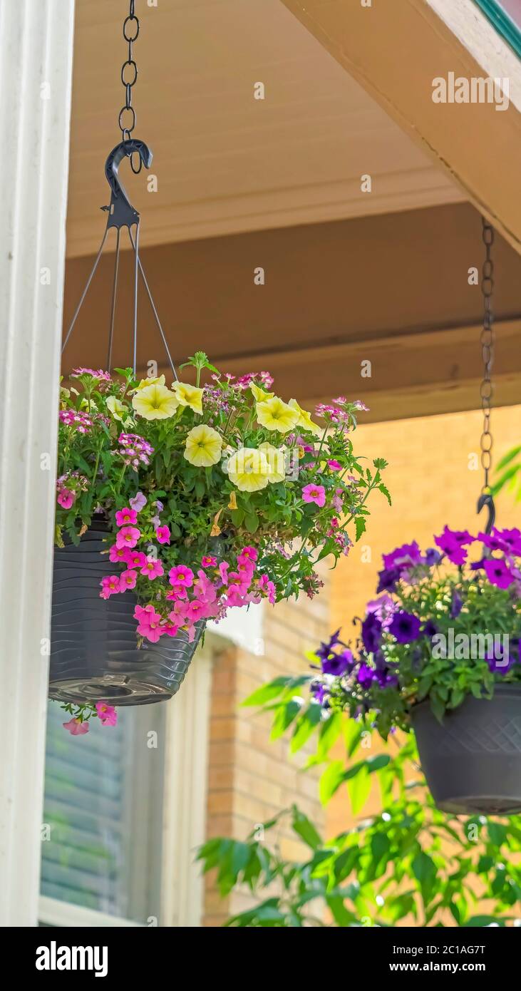Chain Hanging Flower High Resolution Stock Photography and Images - Alamy