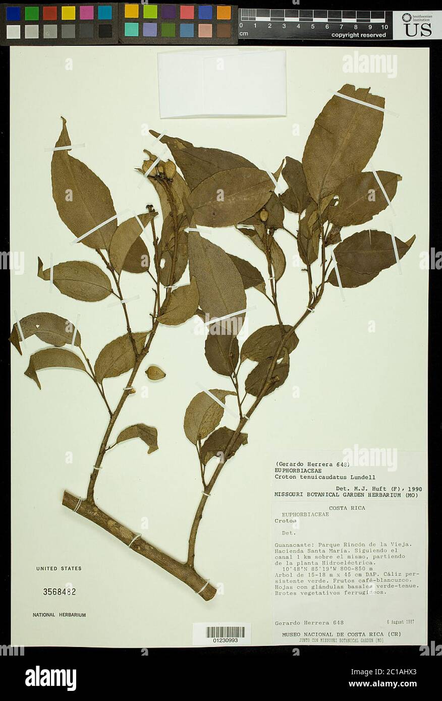 Lundell hi-res stock photography and images - Alamy