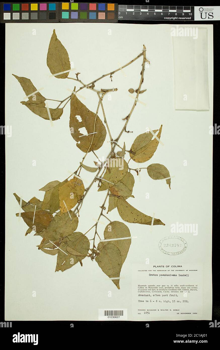 Lundell hi-res stock photography and images - Alamy