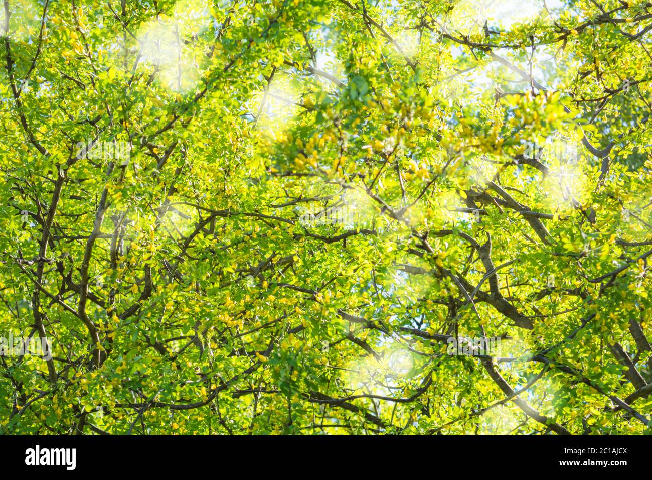 Karagan hi-res stock photography and images - Alamy