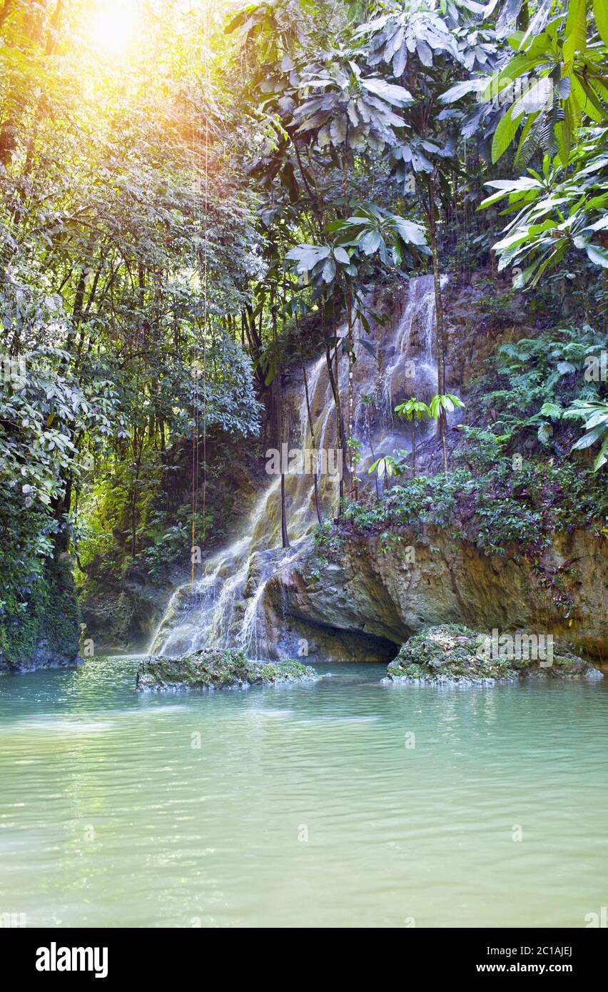 Jamaica. Small waterfalls in the jungle Stock Photo - Alamy