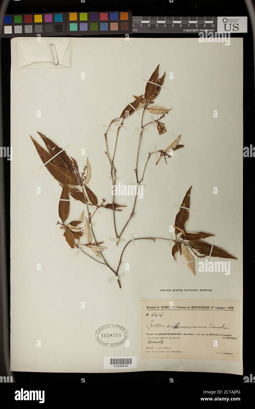 Leandri hi-res stock photography and images - Alamy