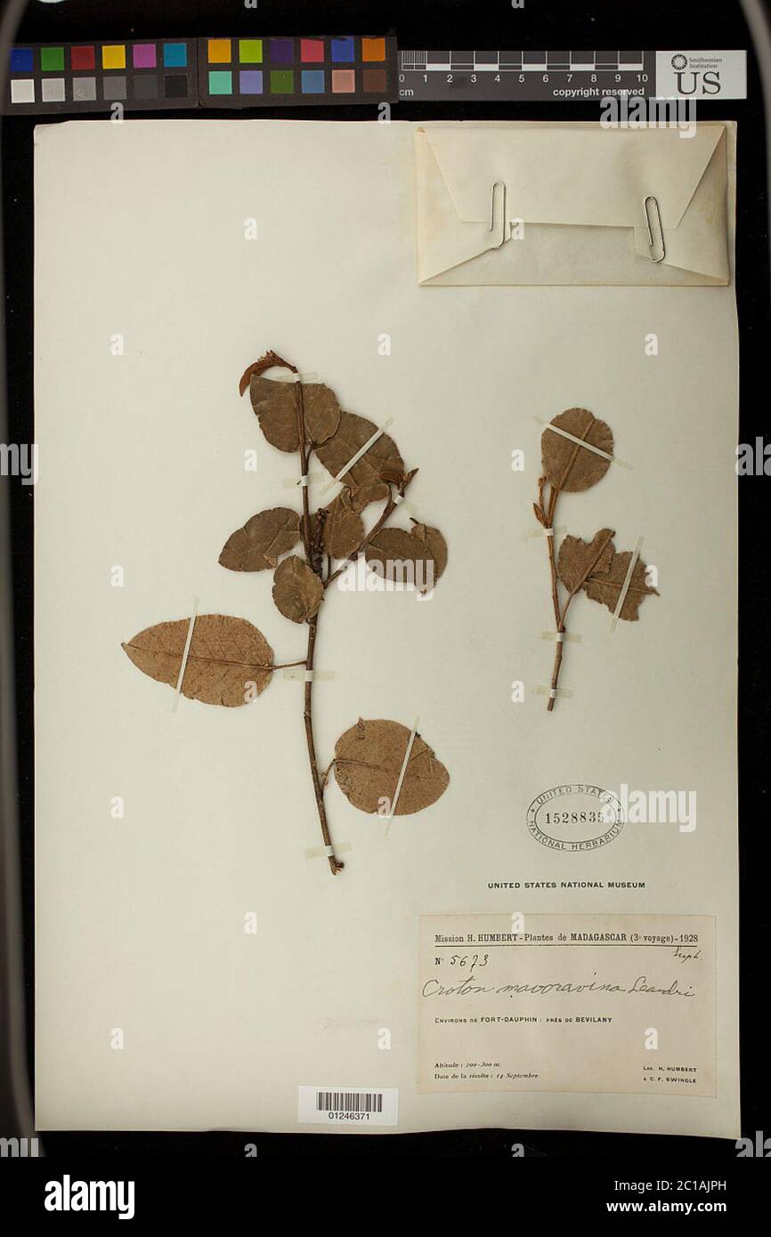 Leandri hi-res stock photography and images - Alamy