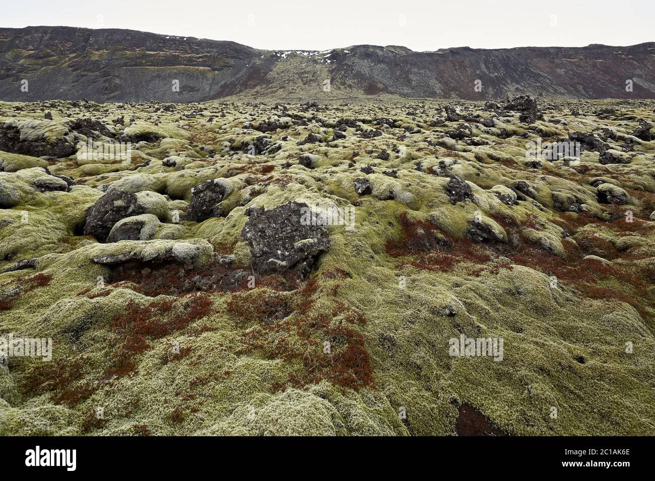 Icelandic Moss Field High Resolution Stock Photography and Images - Alamy
