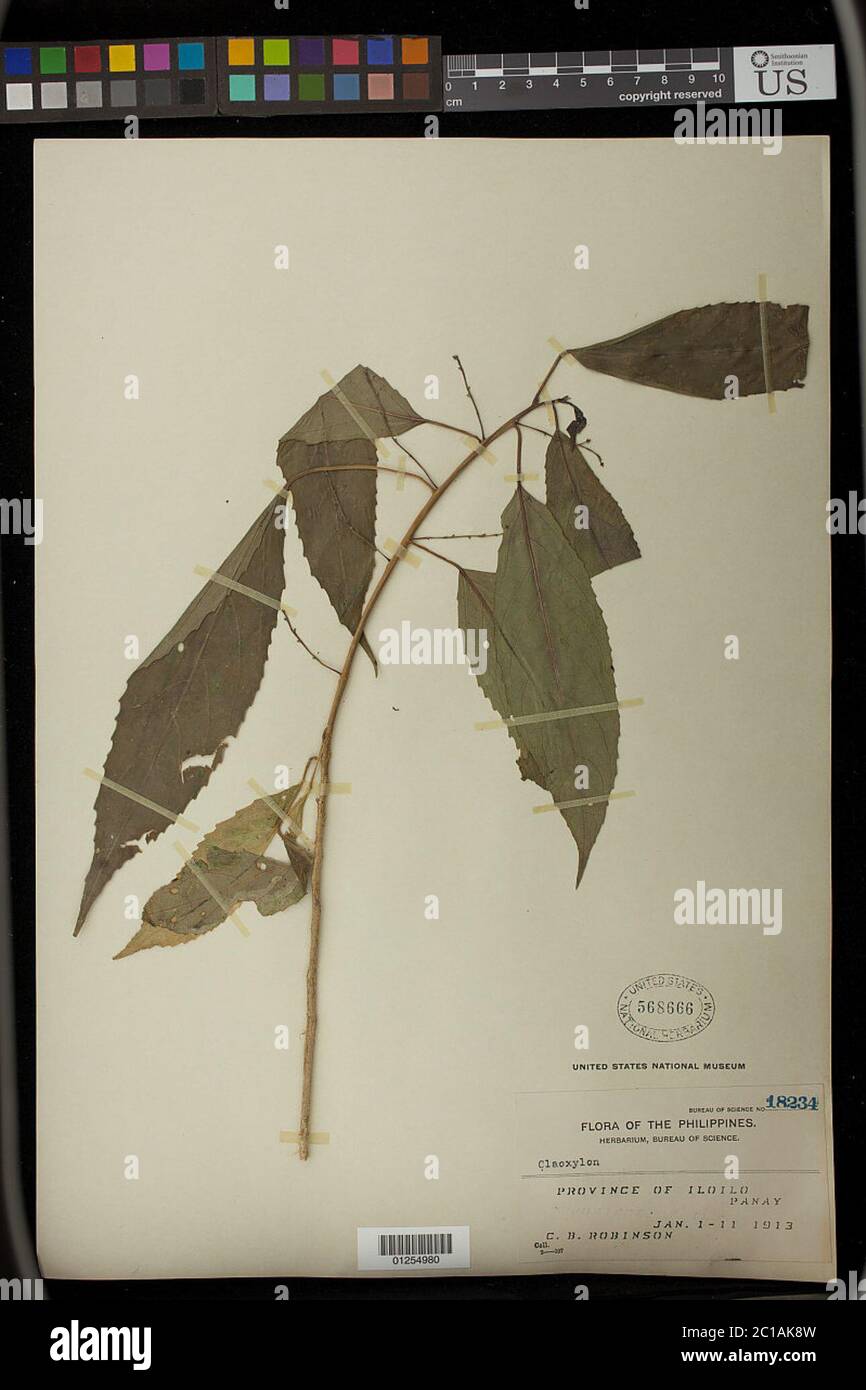 Ecological contribution hi-res stock photography and images - Alamy