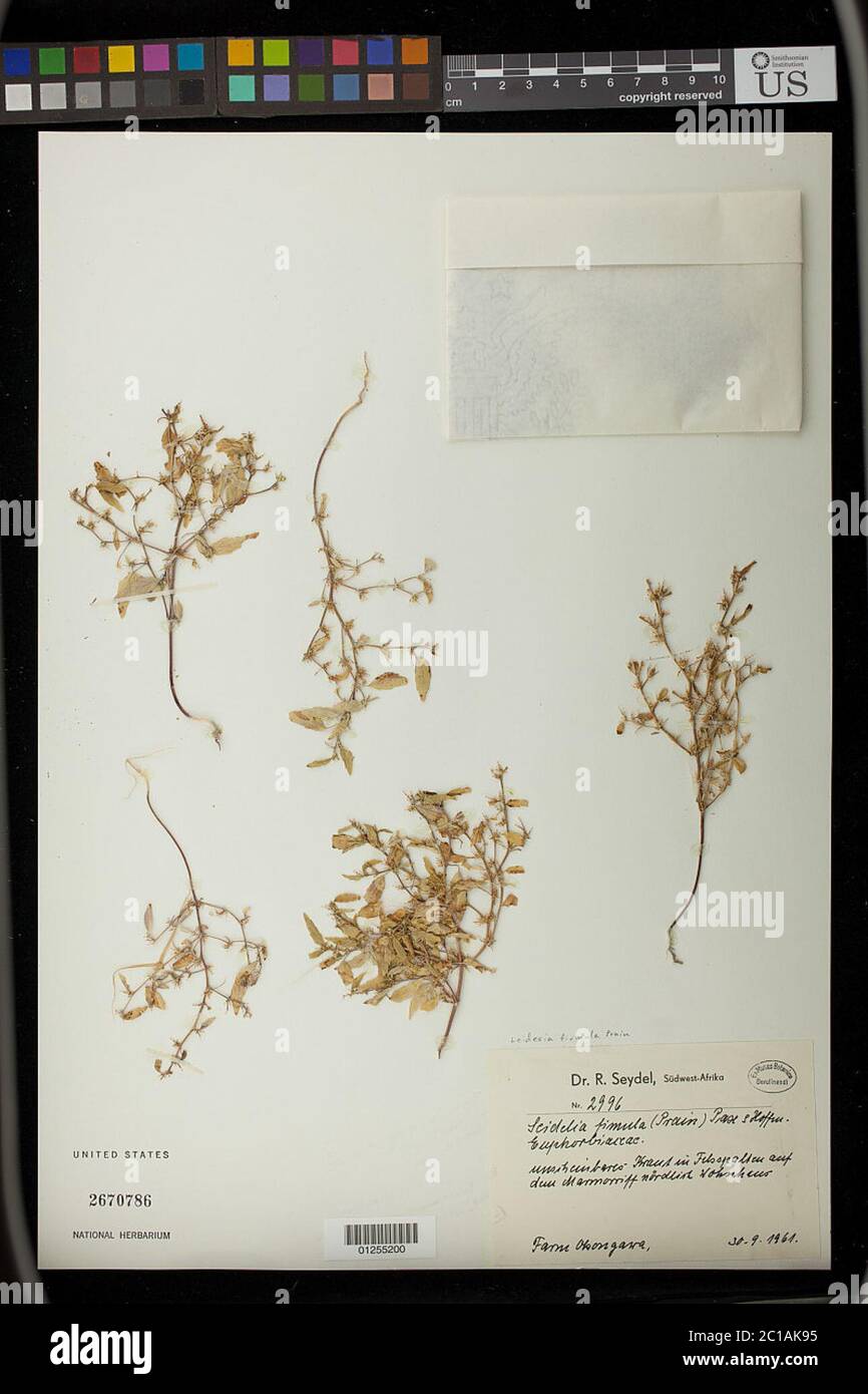 Prain hi-res stock photography and images - Alamy