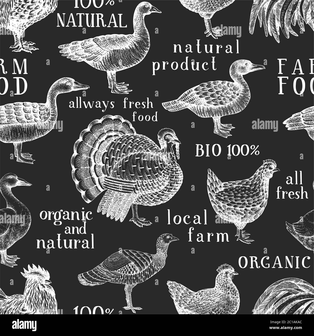 Hand drawn poultry seamless pattern. Vector goose, turkey, chicken ...
