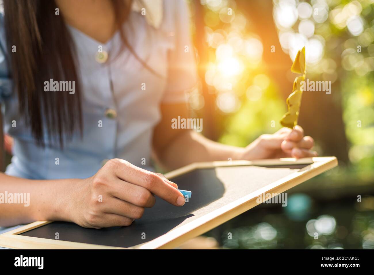 Hands use chalk for drawing, writing balckboard in the parks. Education ...
