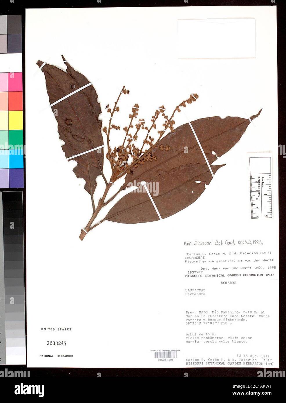 Van der werff hi-res stock photography and images - Alamy