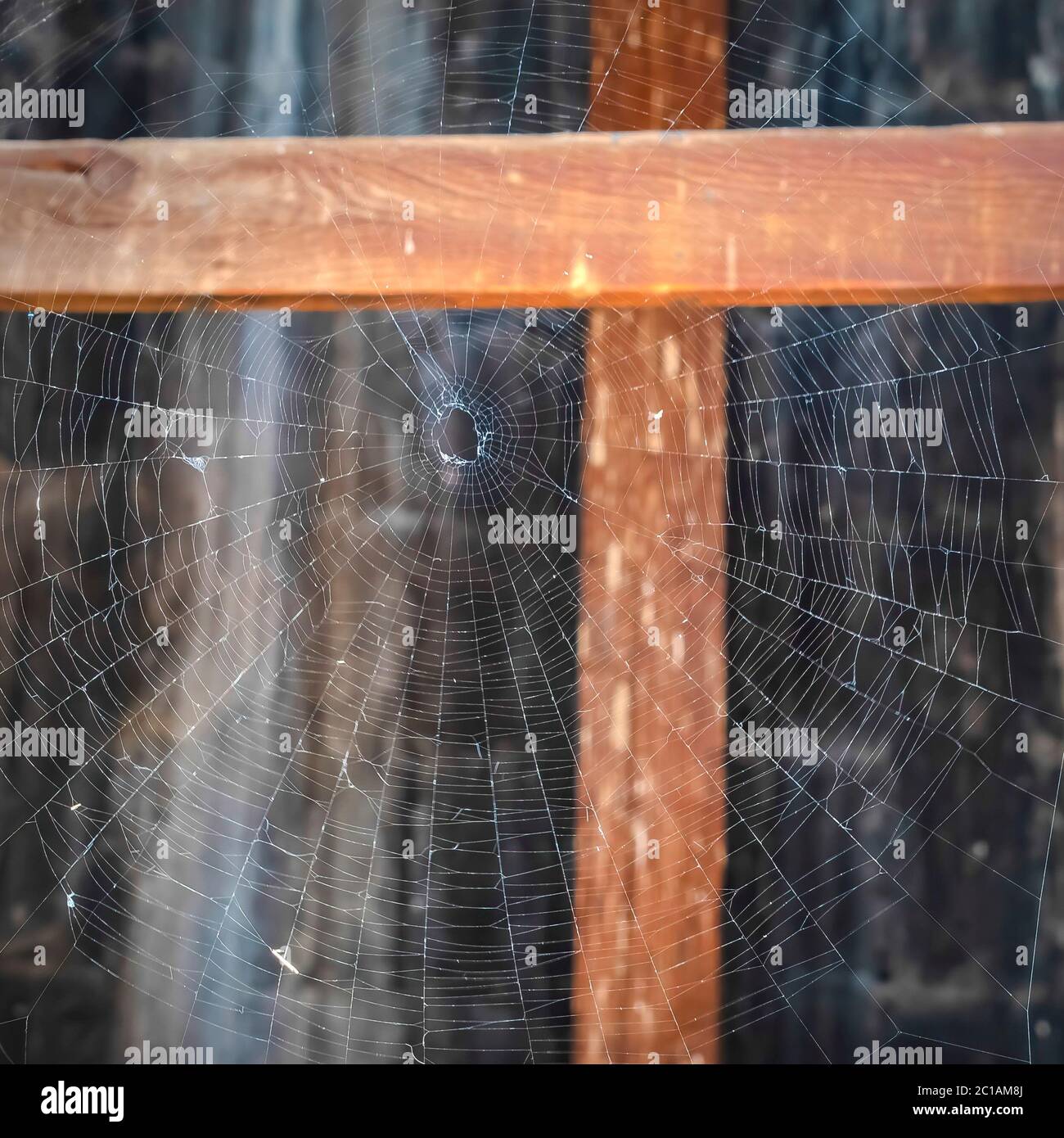 Square Classic circular form spider wed on the opening of an old ...