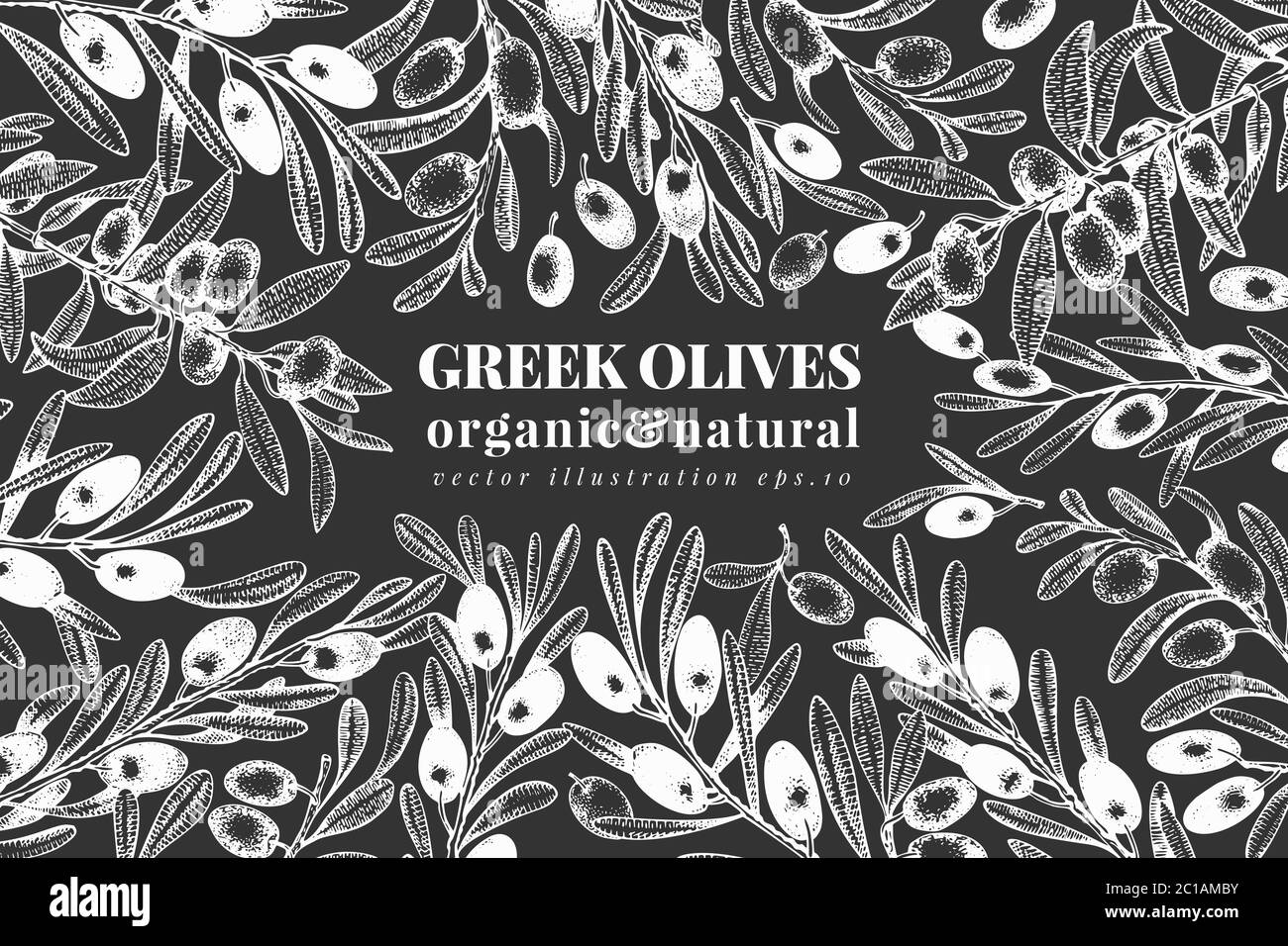 Hand drawn olive design template. Vector olives illustrations on chalk ...