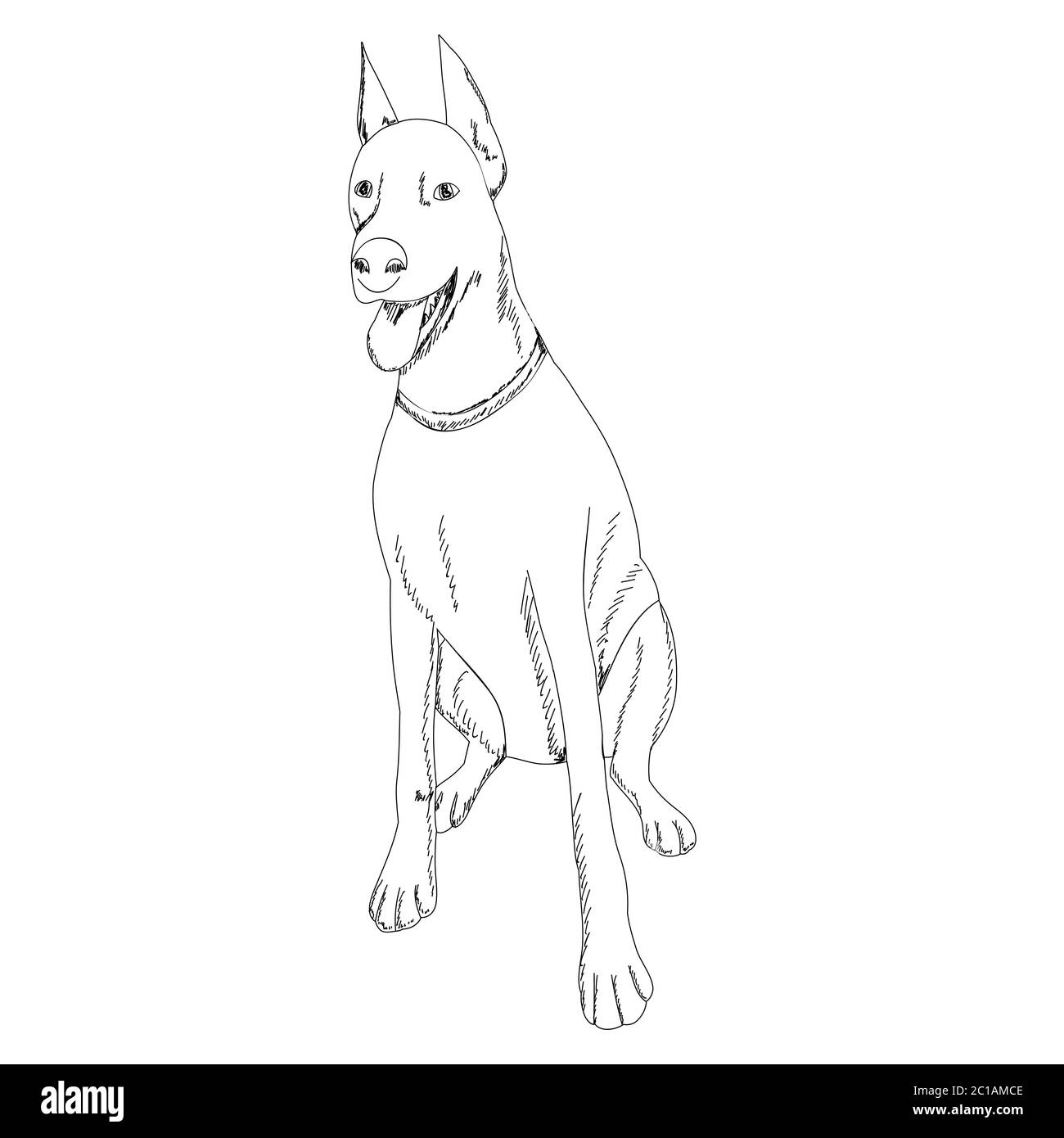 contour, sketch with dog lines Stock Vector Image & Art - Alamy