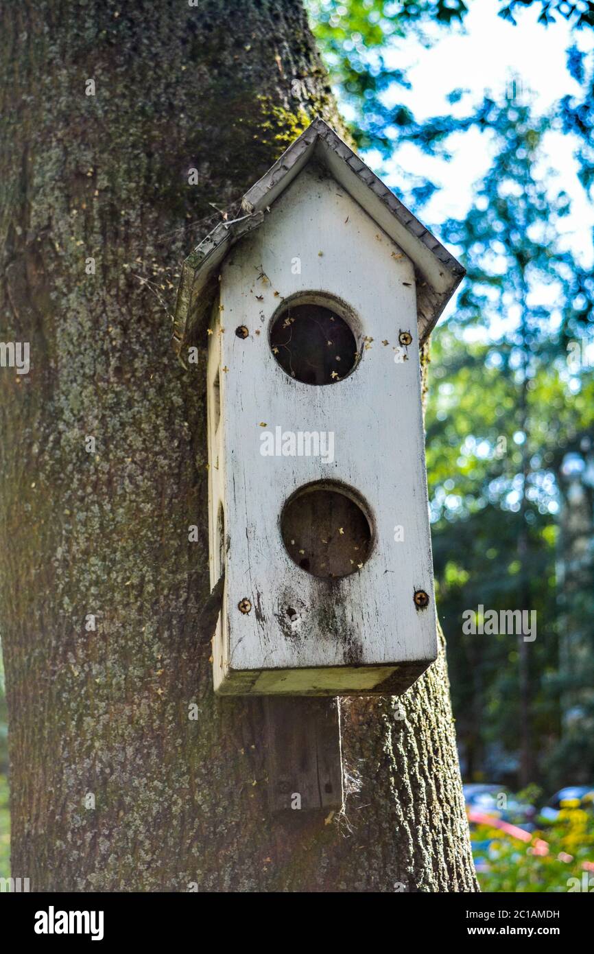 Old empty wooden birdhouse on tree trunk in city. Simple birdhouse ...