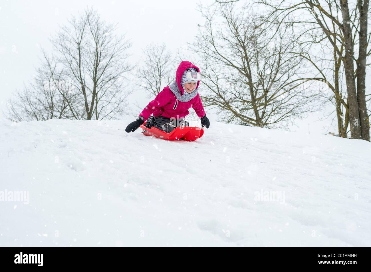 Race of sleds hi-res stock photography and images - Alamy