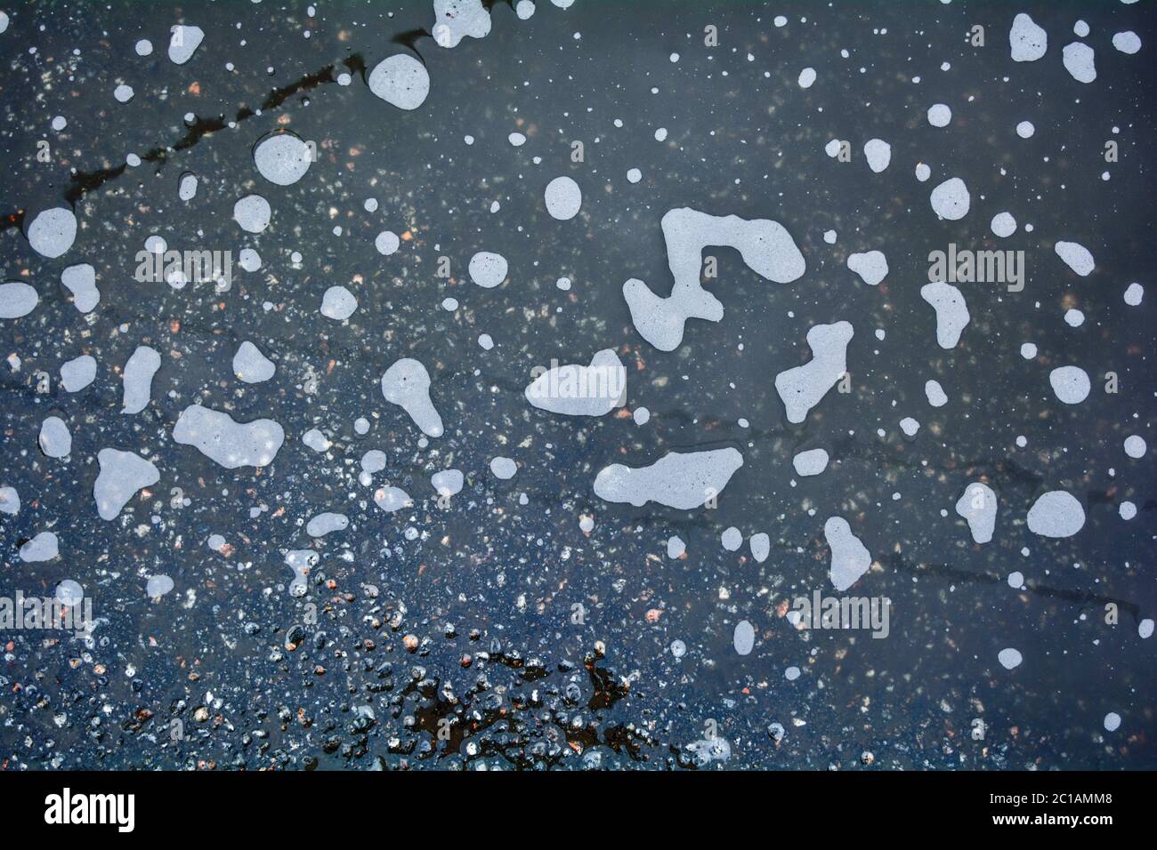 Puddle on the pavement of a city road with spots of white foam and ...