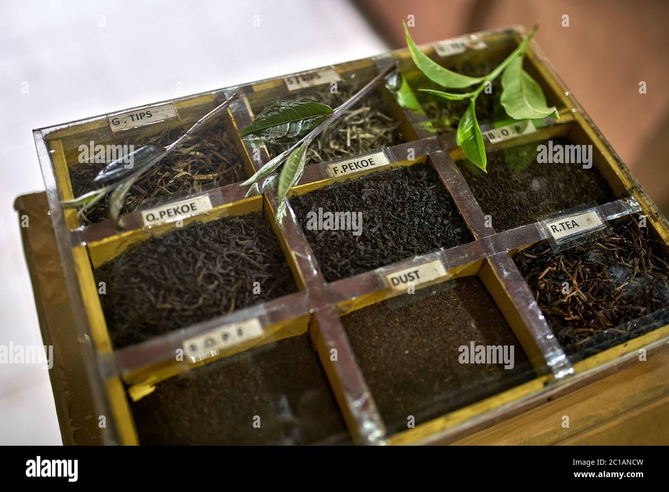 Different tea sorts Stock Photo - Alamy