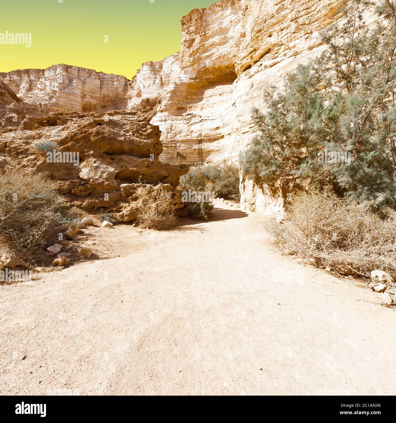 Desert in Israel Stock Photo - Alamy