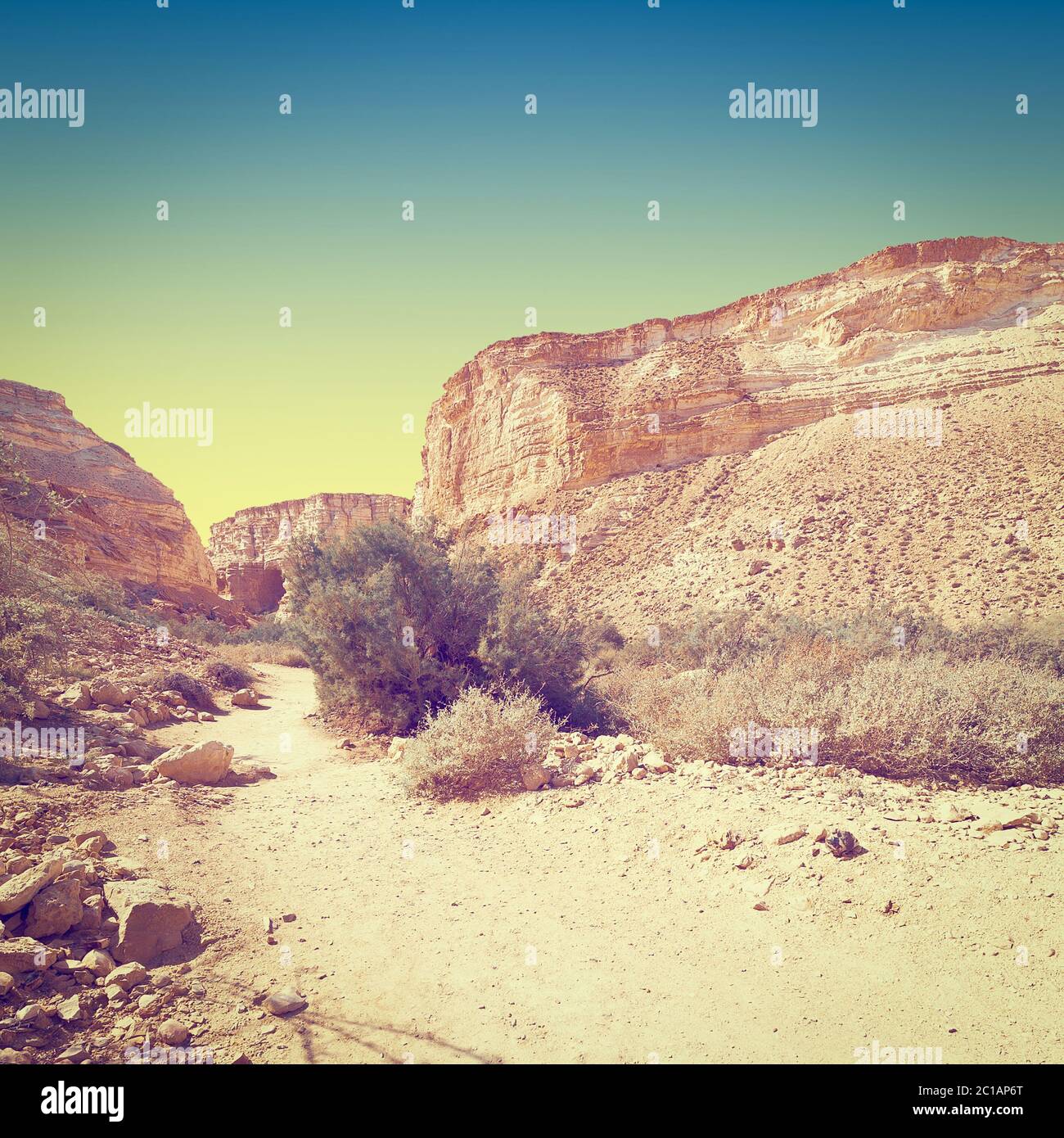 Oasis crater hi-res stock photography and images - Alamy
