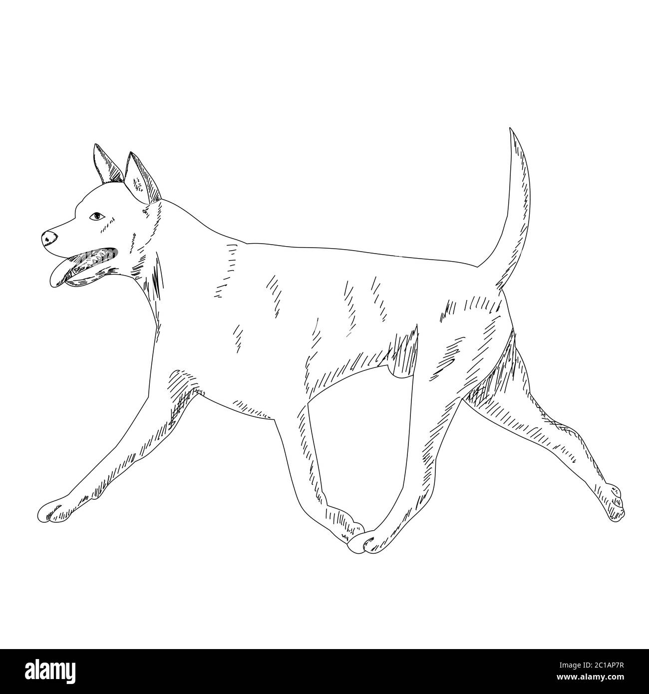 contour, sketch with dog lines Stock Vector Image & Art - Alamy