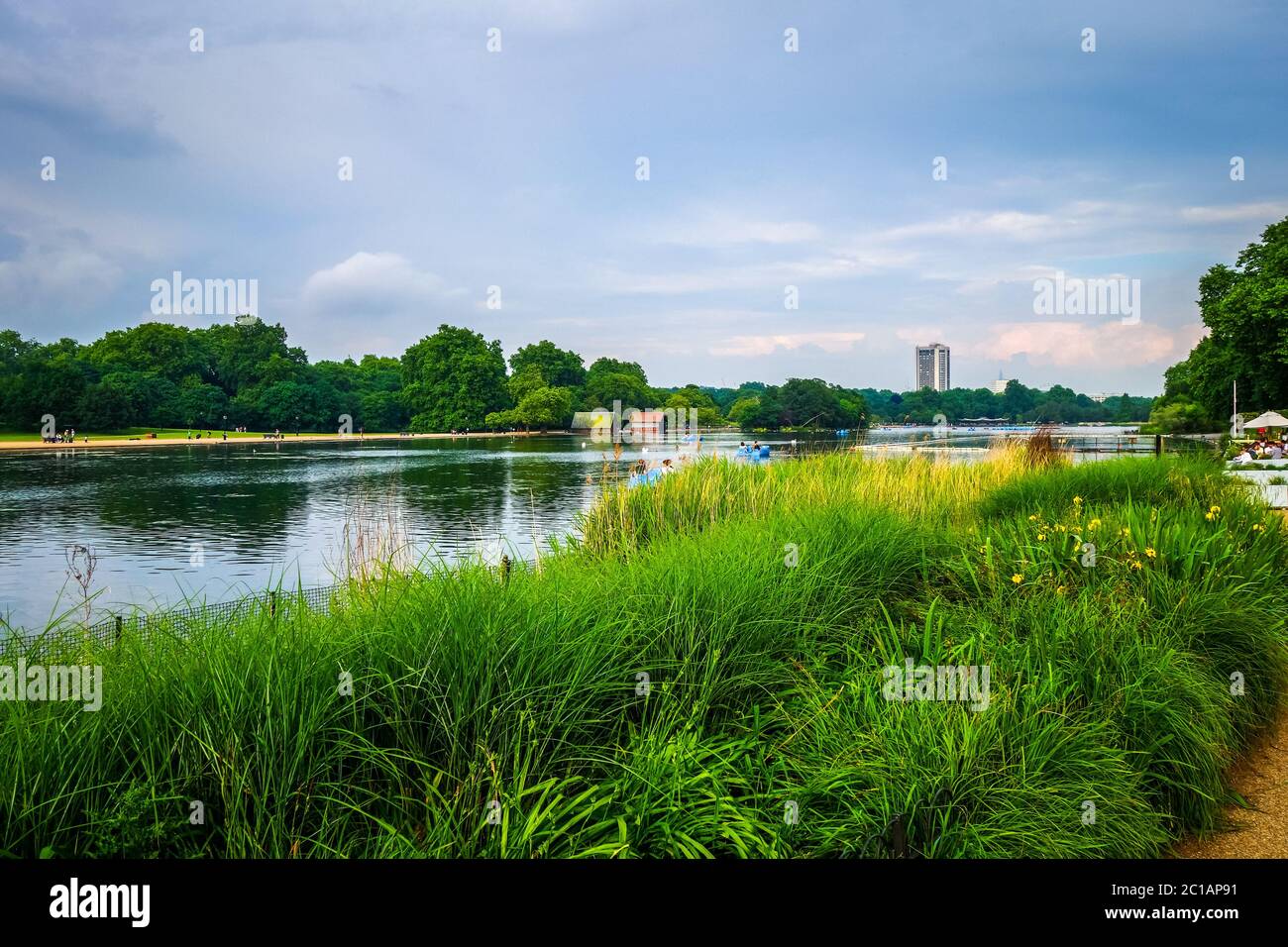 Hide park landscape in London, United Kingdom Stock Photo - Alamy
