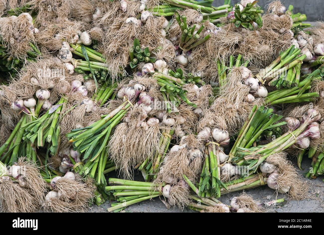 Fresh garlics in a market Stock Photo - Alamy