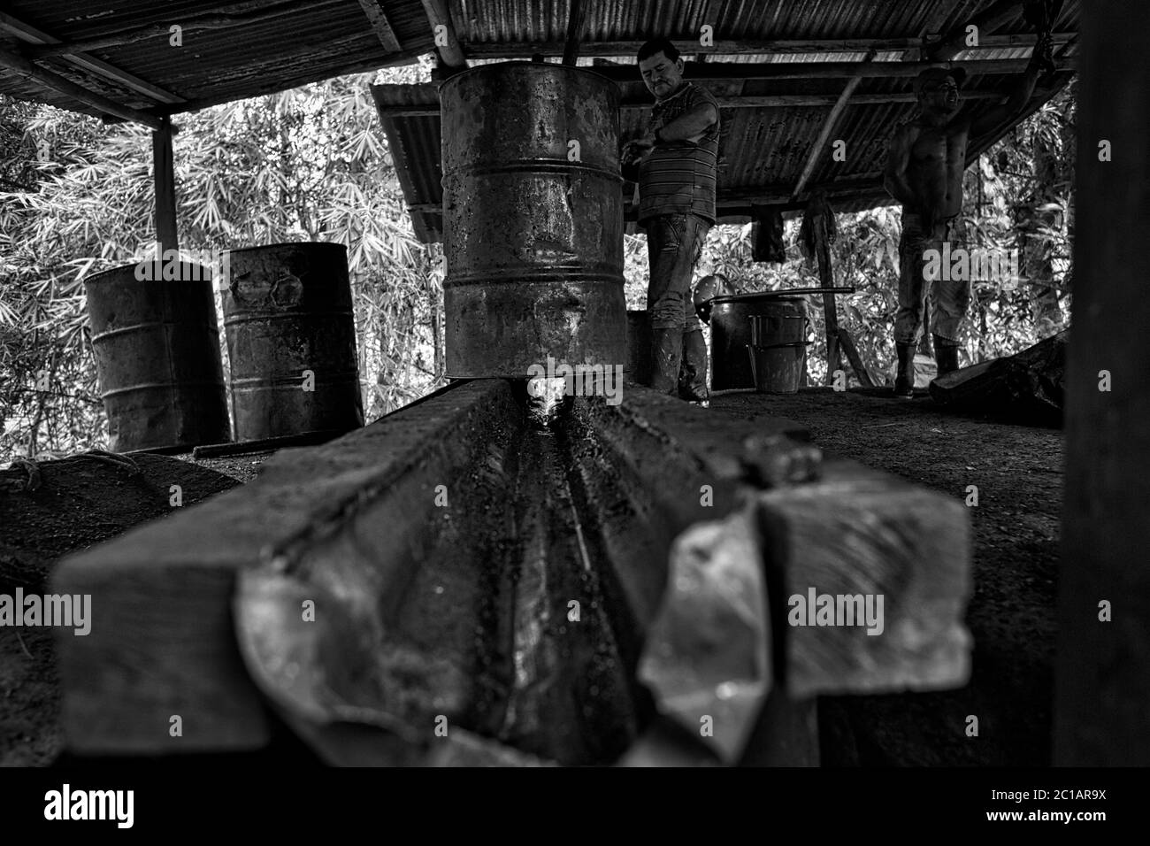 Cocaine, Colombia, production of drug Stock Photo - Alamy