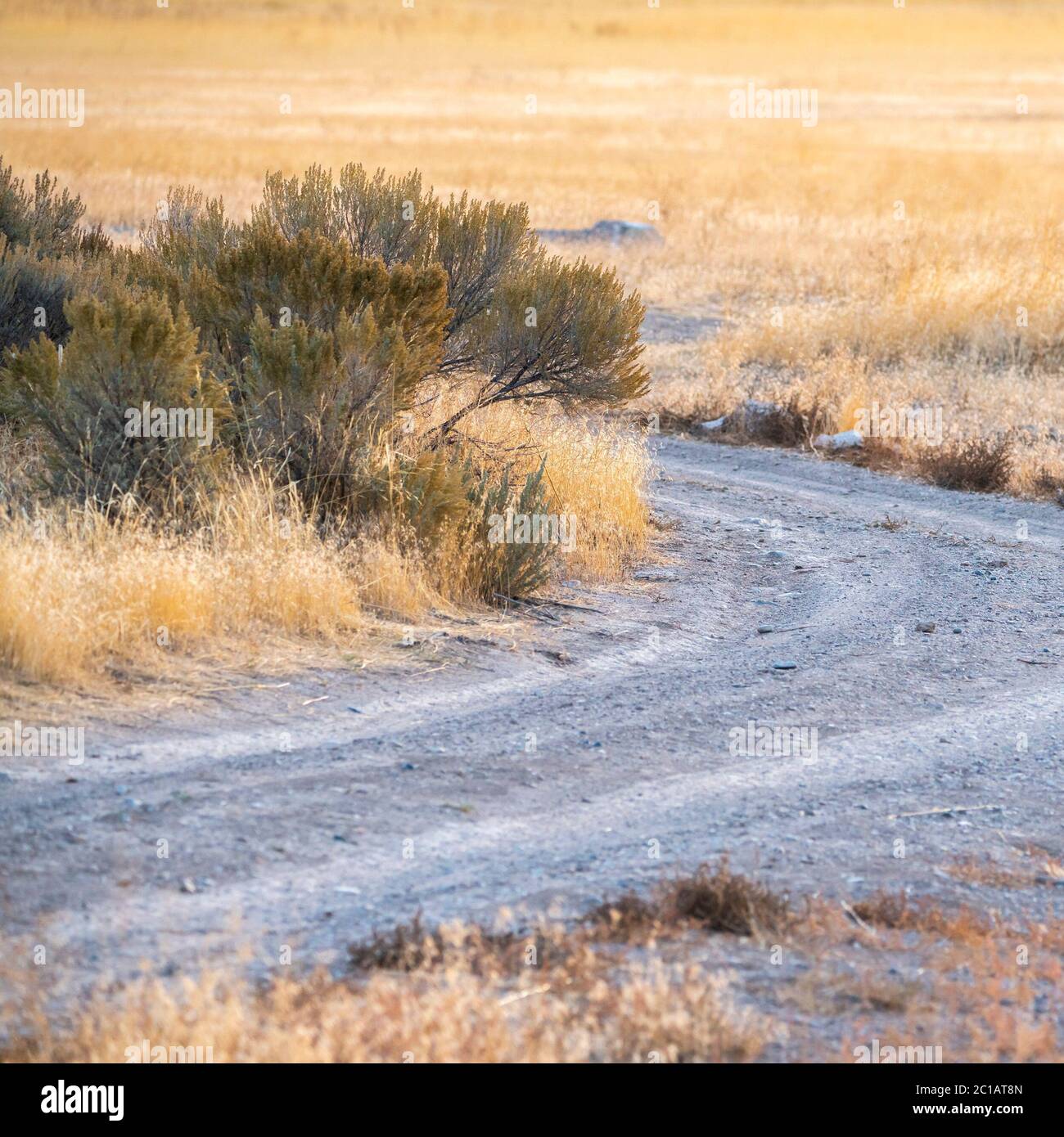 Curved dirt track hi-res stock photography and images - Alamy