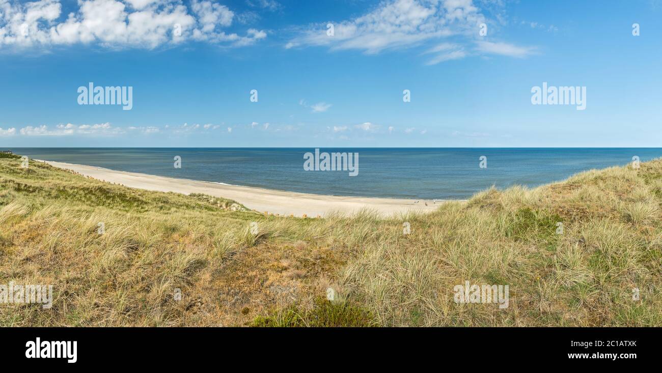 Ultra high res panorama of dune landscape, beach and ocean on the ...