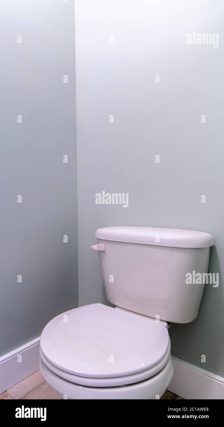 Vertical Closed toilet and cistern in a small lavatory Stock Photo - Alamy