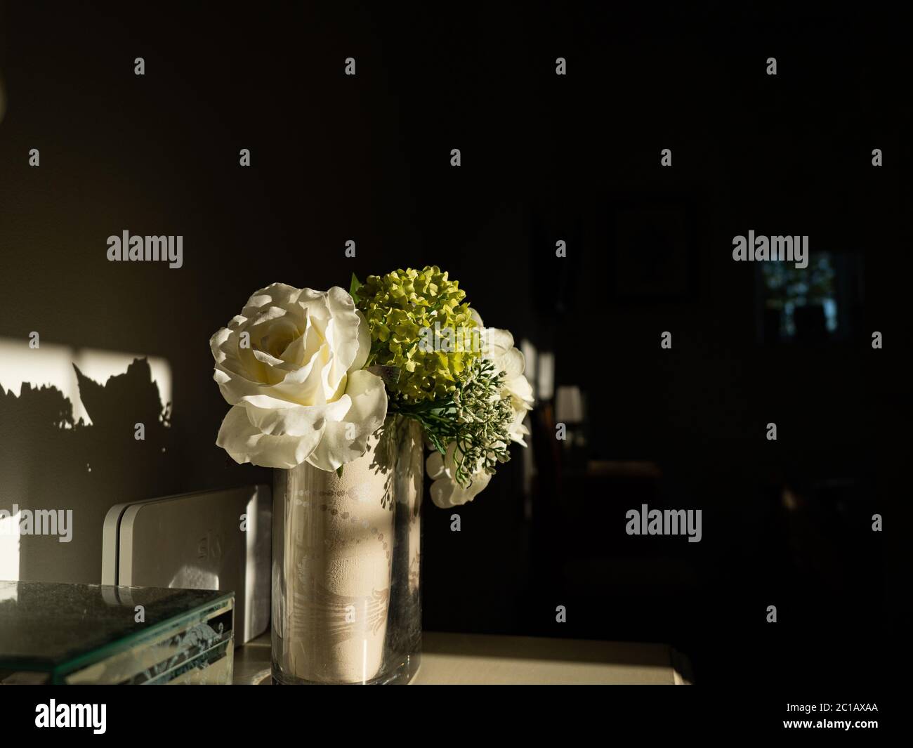 Low key flowers hi-res stock photography and images - Alamy