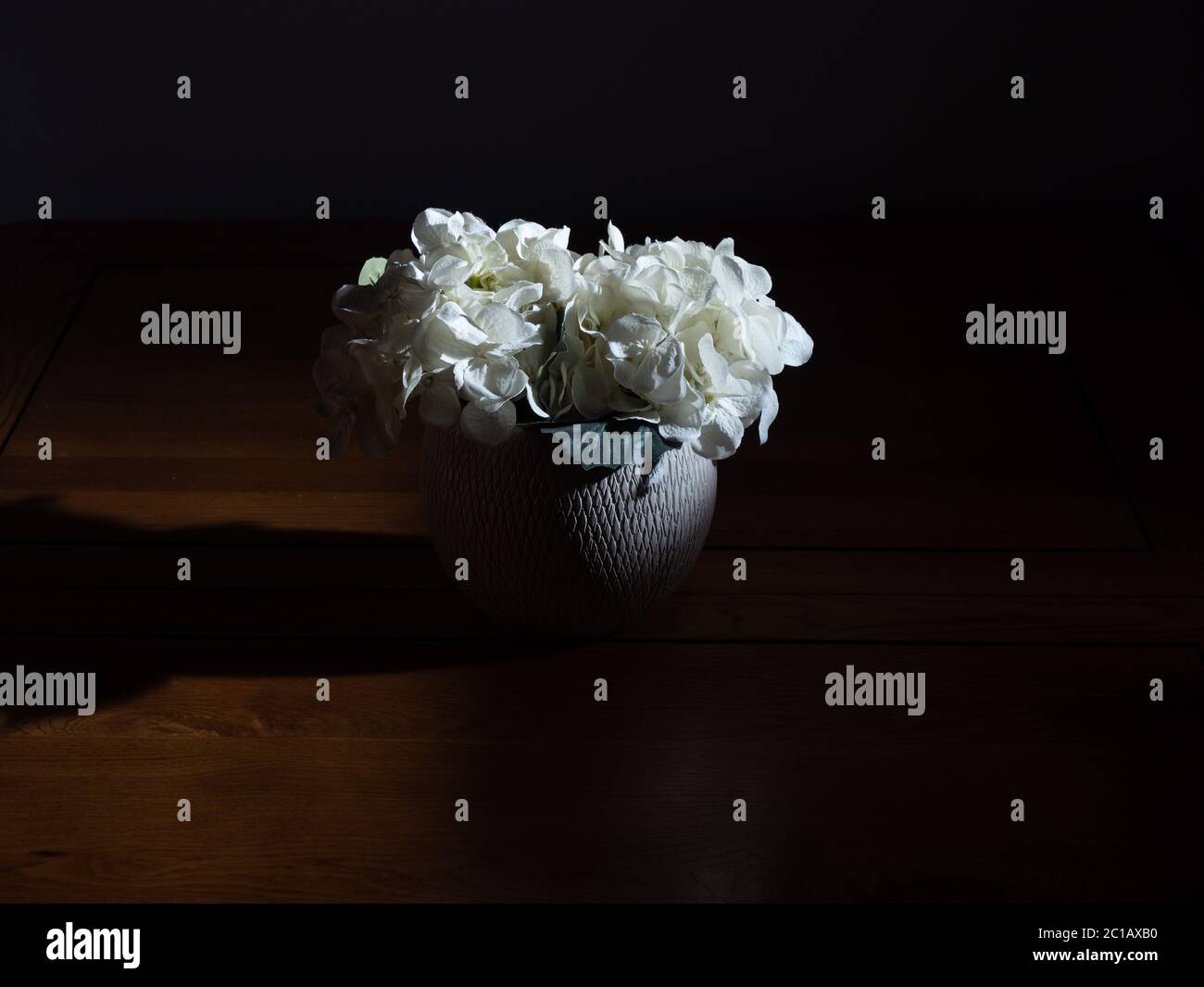Keylight High Resolution Stock Photography and Images - Alamy