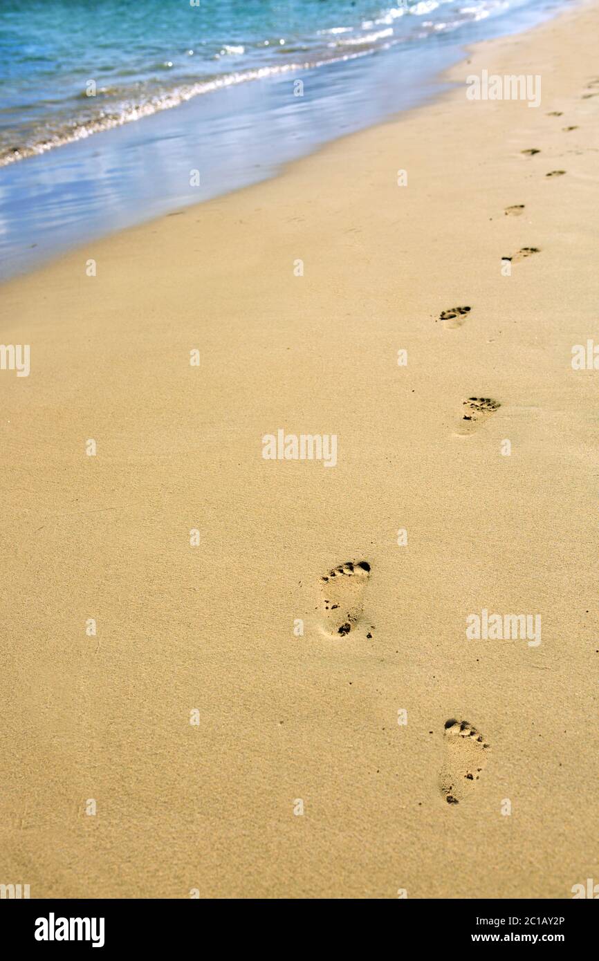 Footprints in the sand on the beach Stock Photo - Alamy