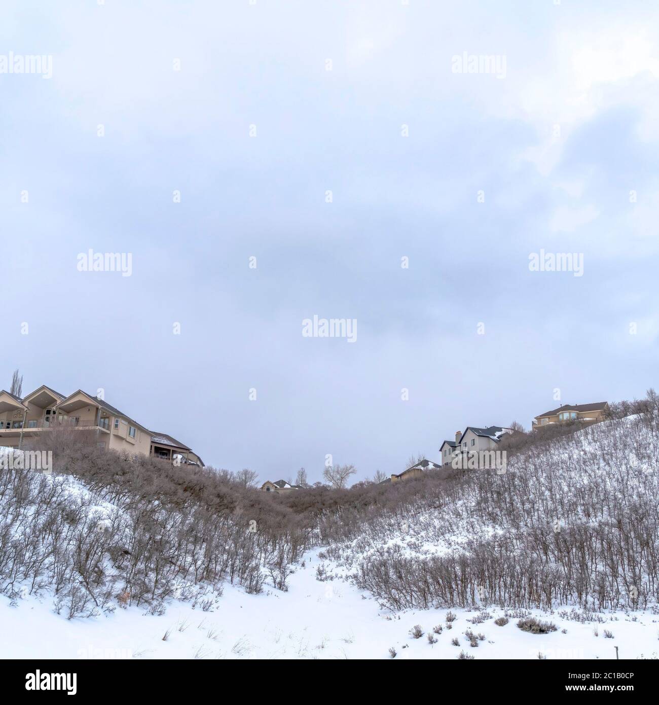Square Homes atop gentle hill slopes with fresh snow and leafless ...