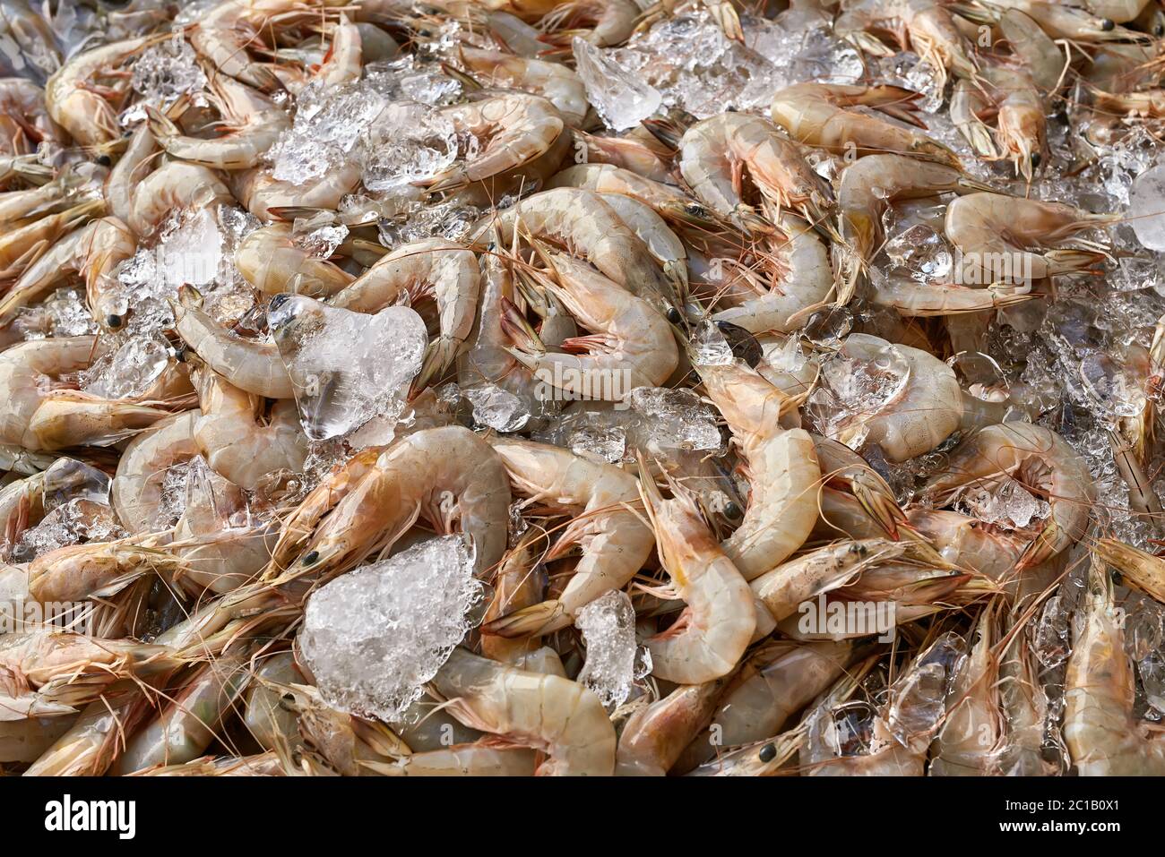 Many prawn hi-res stock photography and images - Alamy