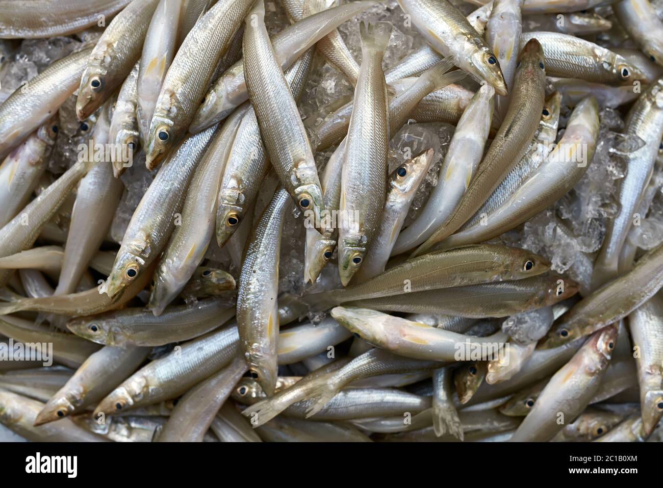 Many fishes on market Stock Photo - Alamy