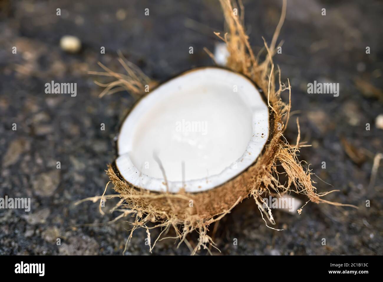 Coconut on the ground hi-res stock photography and images - Alamy