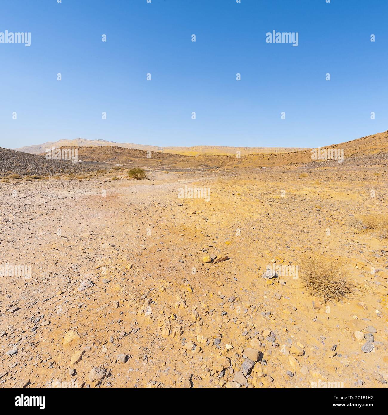 Nature of the Middle East Stock Photo - Alamy