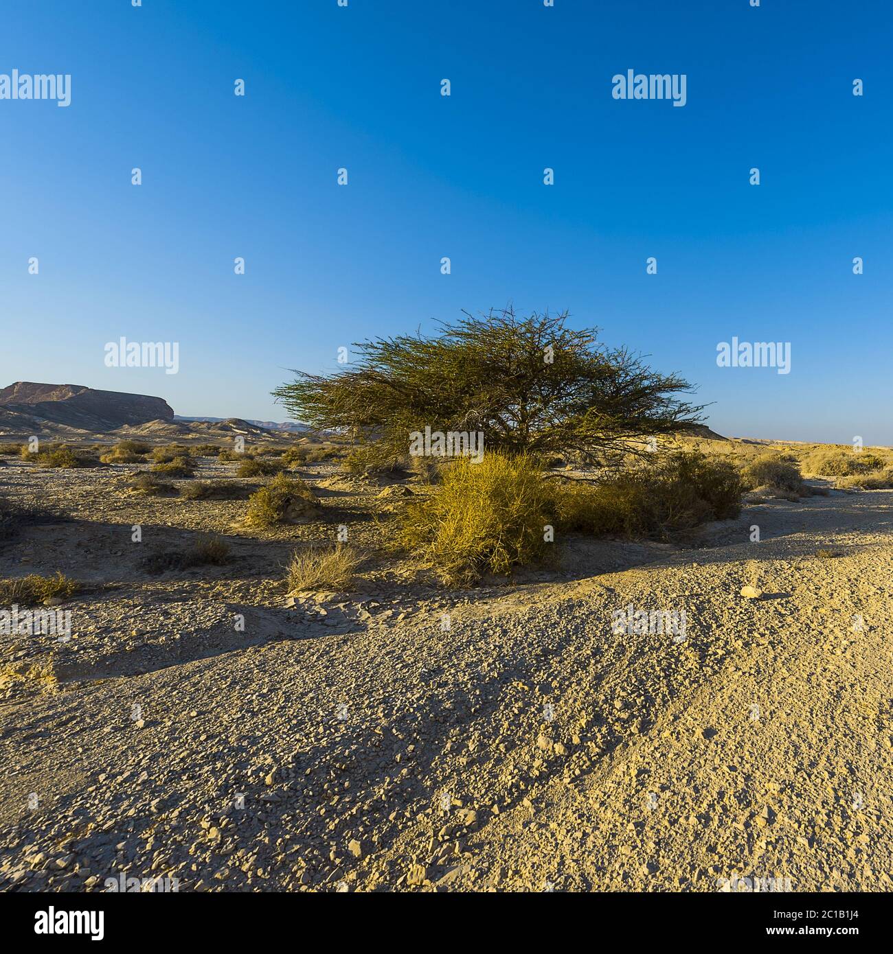 Infinity of nature hi-res stock photography and images - Alamy